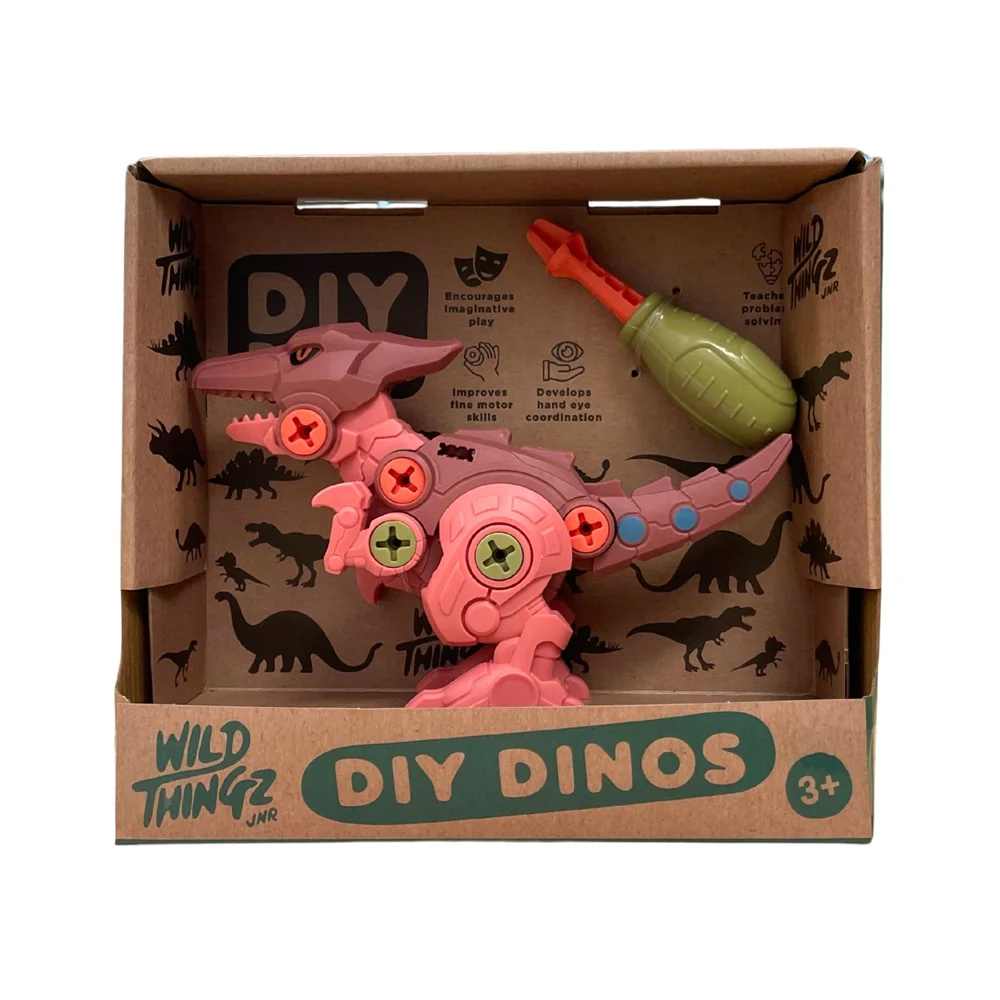 Wild Thingz - DIY Dino Pterosaur – Get Lost Outdoors & Toys